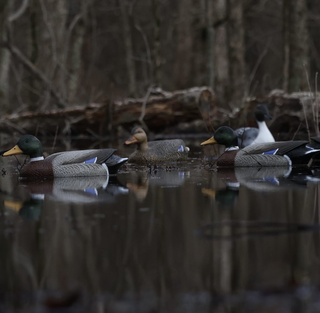 Mallard - Super Magnum, Stationary Head - G&H Decoys