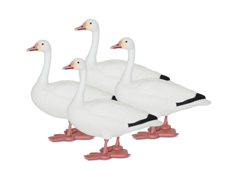 Snow Goose - Full Body - G&H Decoys