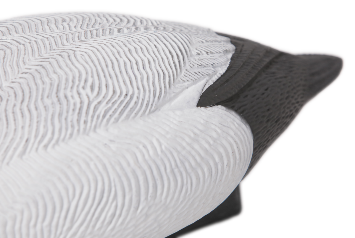 CB23 Premier Series Canvasback - G&H Decoys