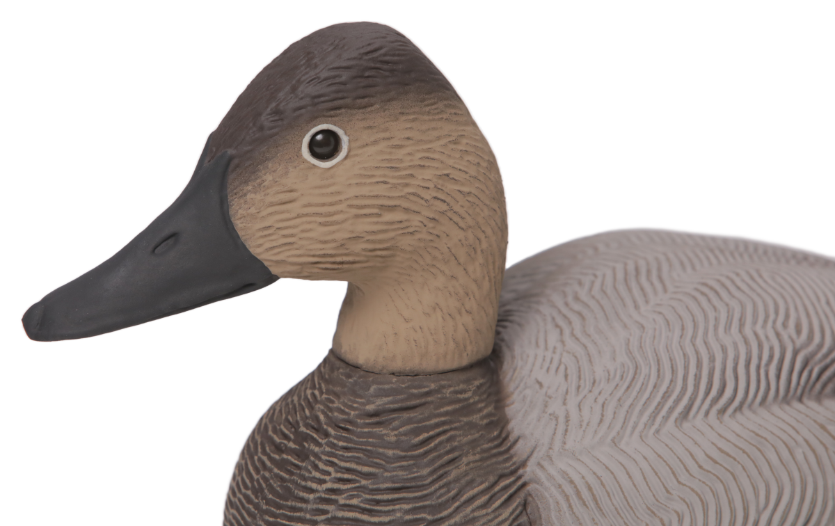 CB23 Premier Series Canvasback - G&H Decoys