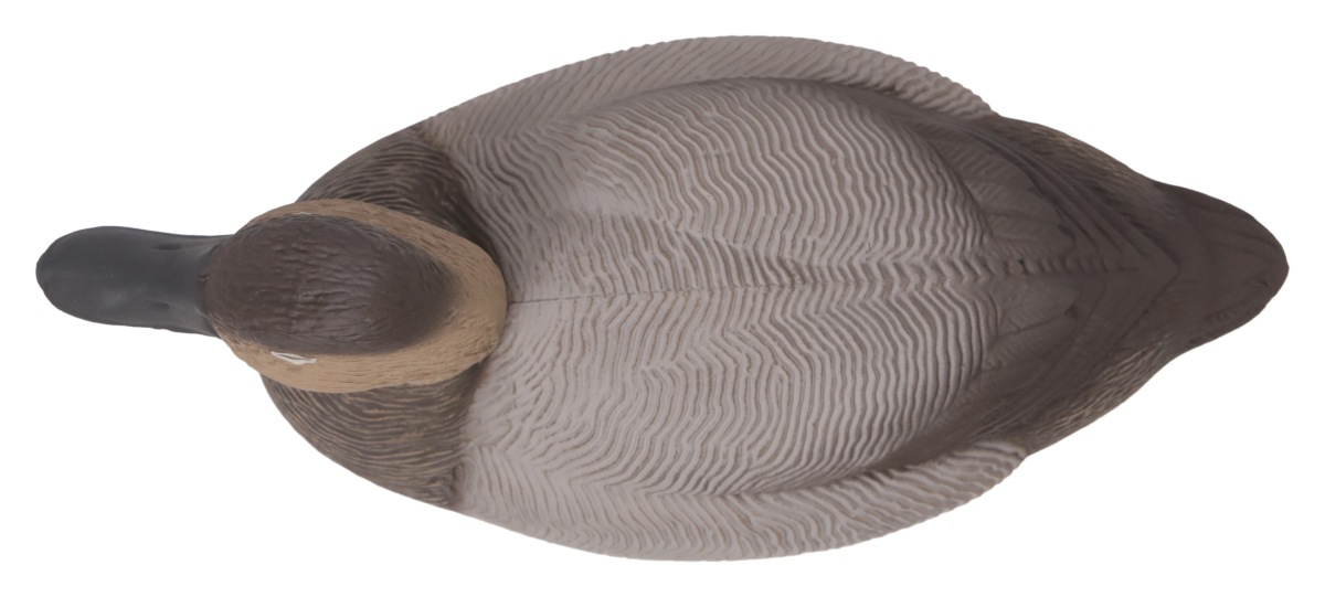 CB23 Premier Series Canvasback - G&H Decoys